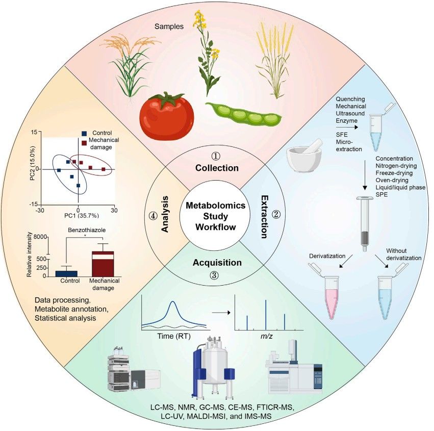 Plant Targeted Metabolomics Service | Plant Antibody – Creative Diagnostics